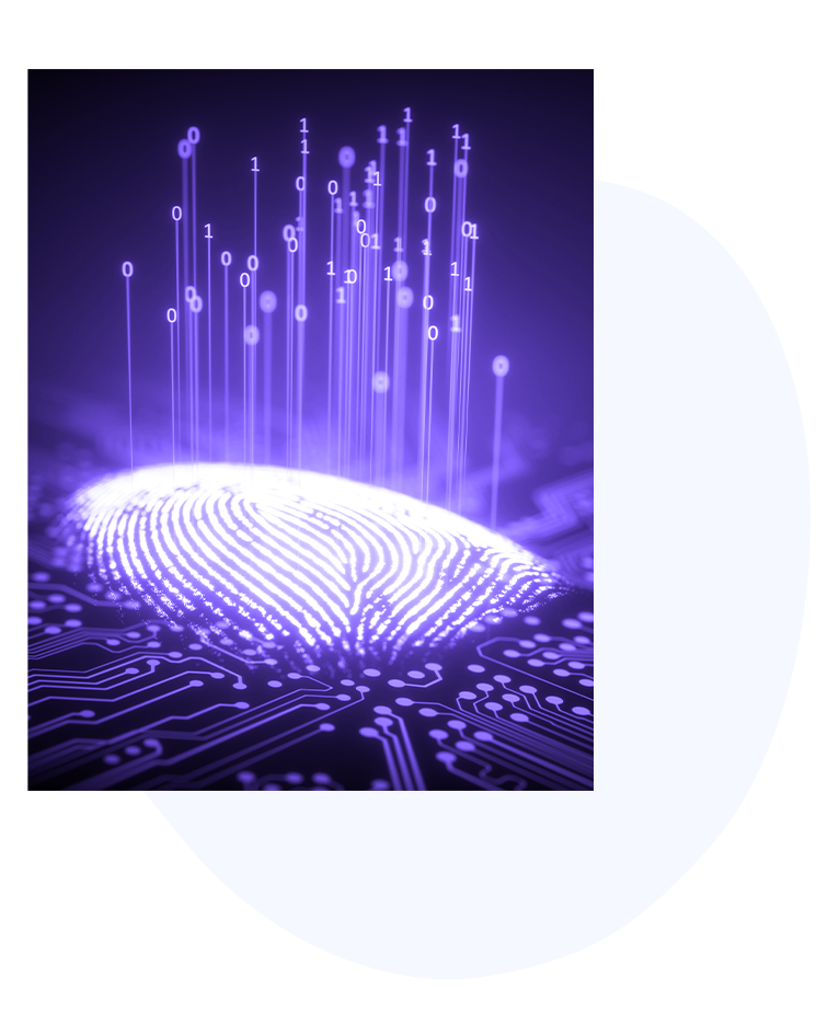 Canada’s Leading Digital Payment Solutions | DCPayments